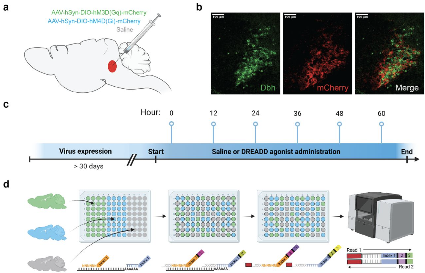 Publications | Laboratory for Neural Engineering & Control